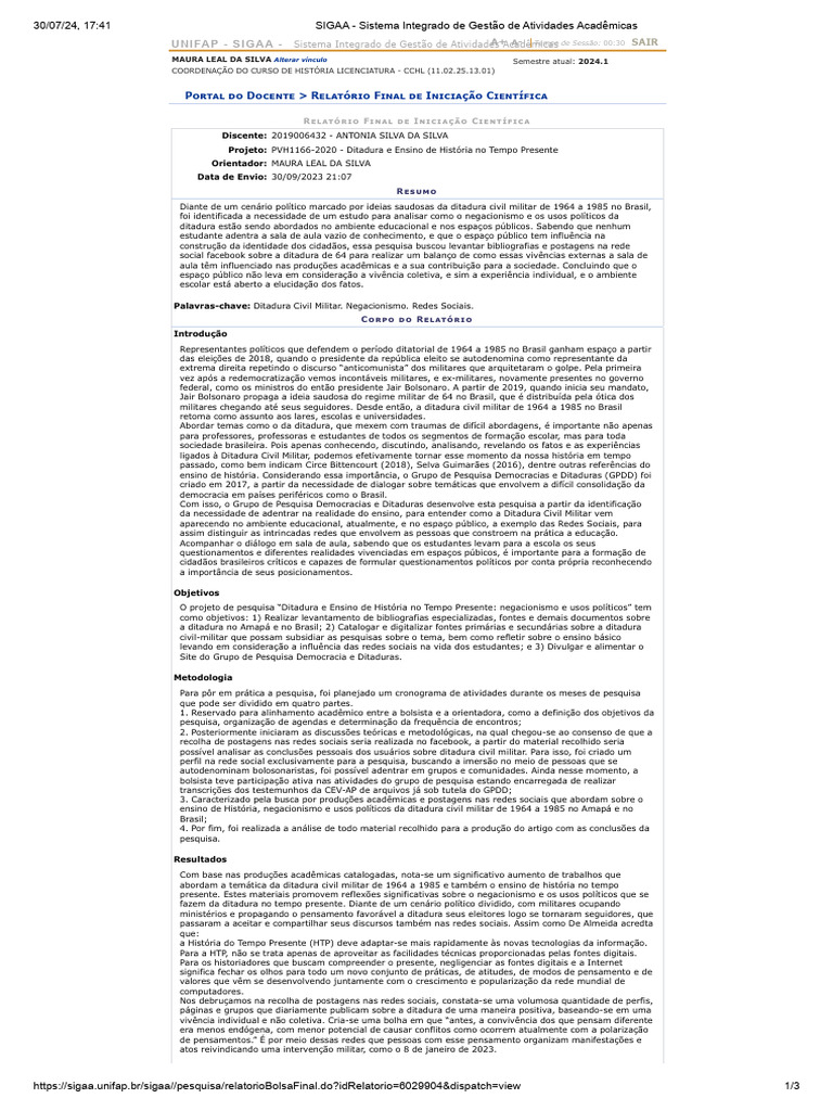 Relatório Da Antônia | PDF