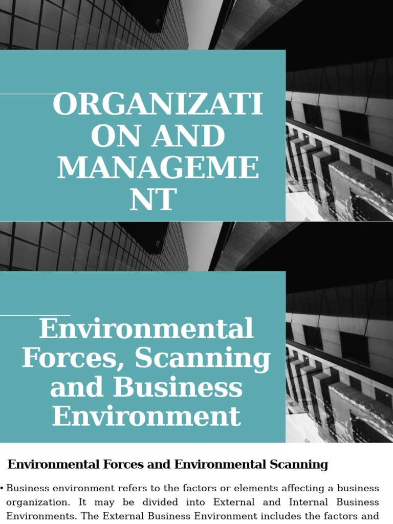 Organization and Management Lesson3 | PDF