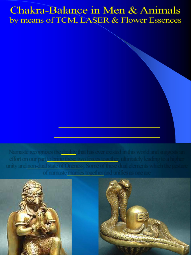 Chakra-Balance in Men & Animals (PDFDrive) | PDF | Yin And Yang ...