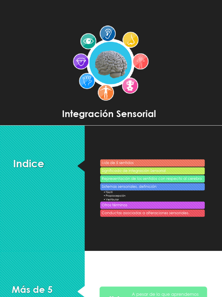 Integracion Sensorial | PDF