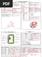 01. Grade 8 - Photosynthesis and Respiration (Notes) | PDF ...