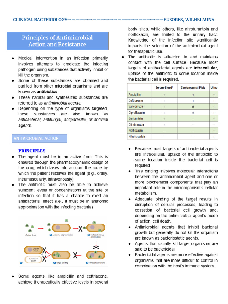 Bacte | PDF