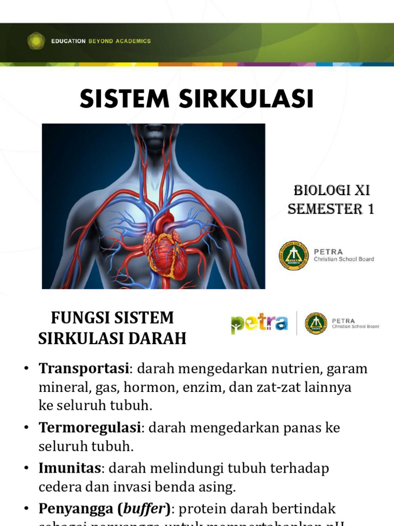 Sistem Sirkulasi | PDF