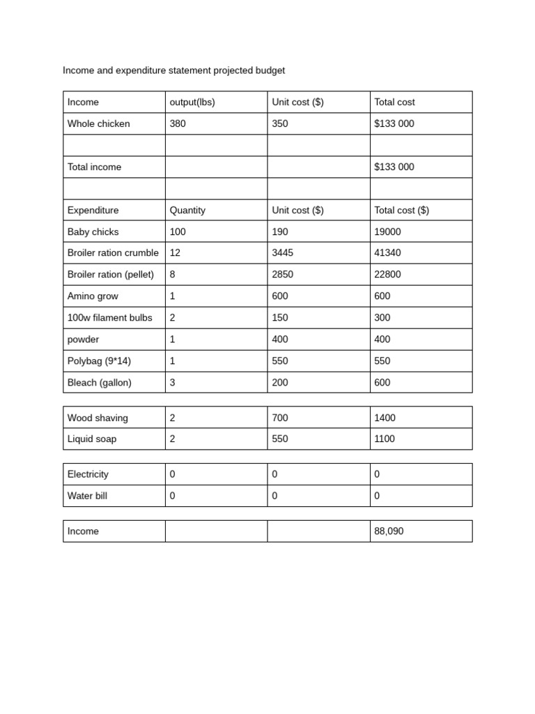 Income and Expenditure Statement Projected Budget | PDF
