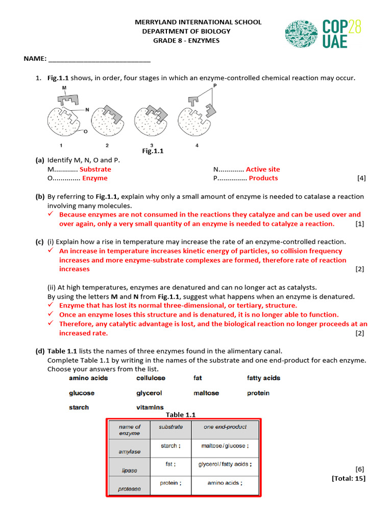 Biology New As New Past Papers Answers Key | PDF