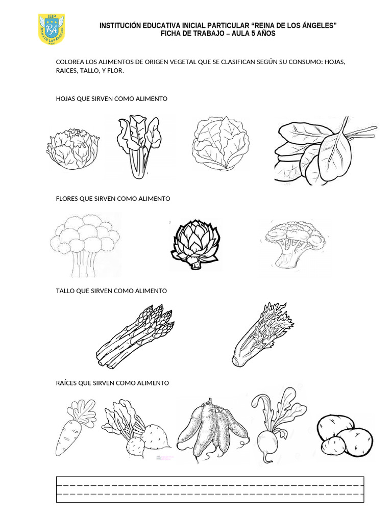 Colorea Las Verduras Que Se Clasifican Por Sus Hojas - Actualizado ...