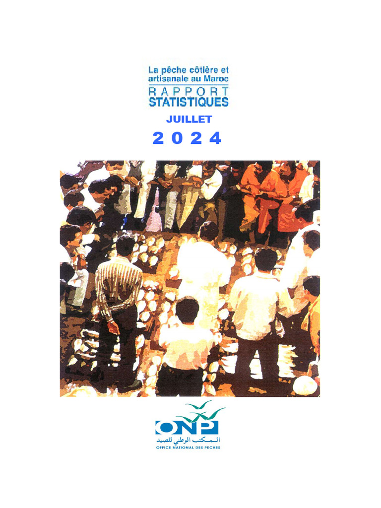 Rapport Statistique Juillet 2024 | PDF