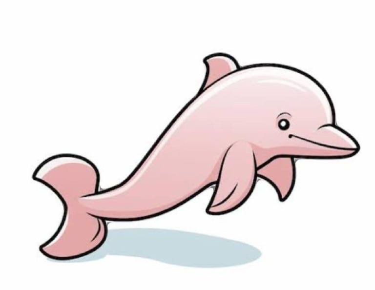 DELFIN | PDF