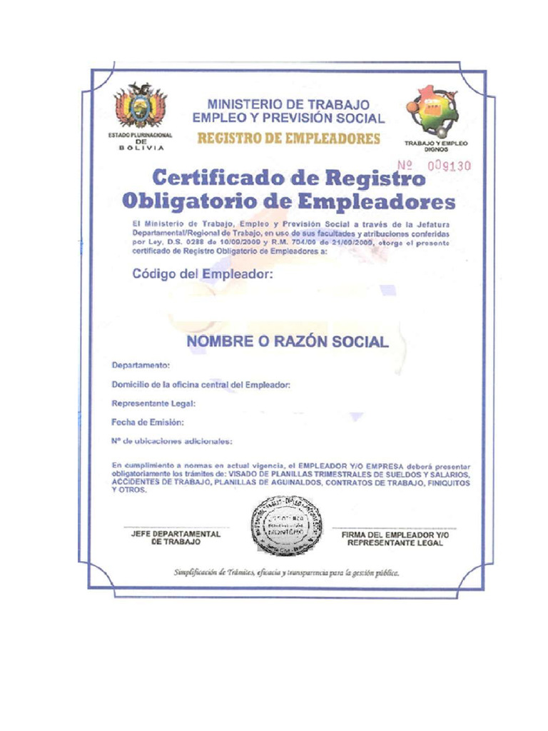 Roe Ministerio PDF | PDF