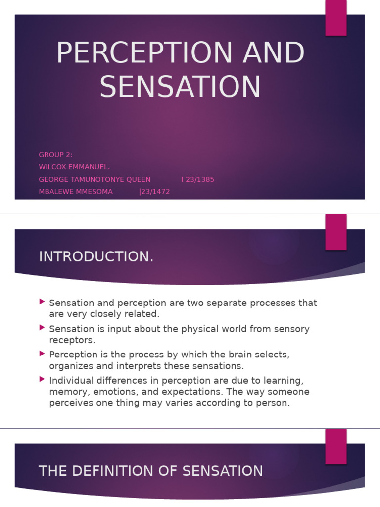 Sensation and Perception in Design | PDF | Senses | Perception