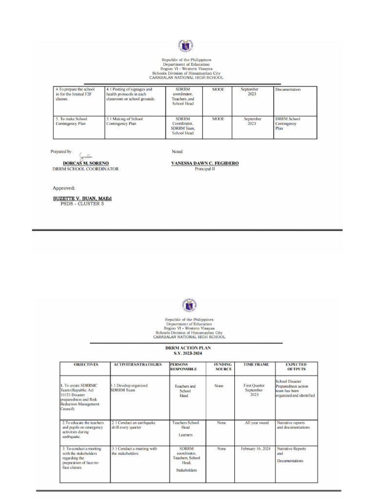 DRRM ACTION PLAN | PDF