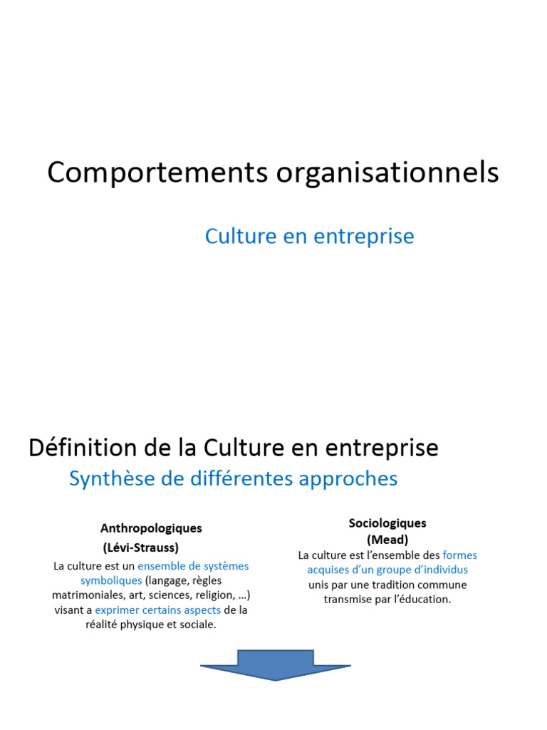 cours culture | PDF