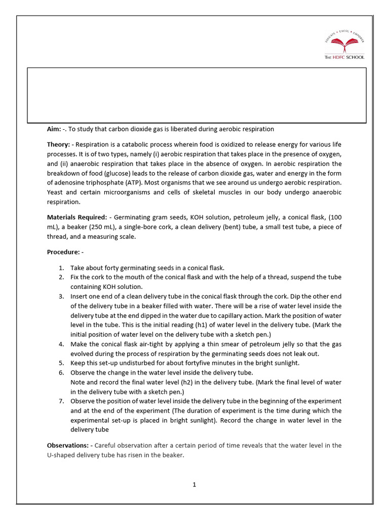 Practical Activity 2 | PDF