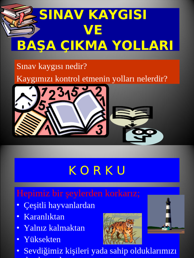 Sinav Kaygisi | PDF