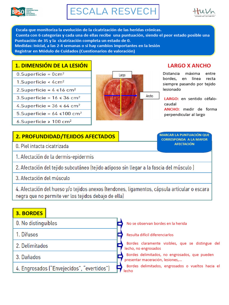 Escala Resvech Para Consulta 2022 | PDF