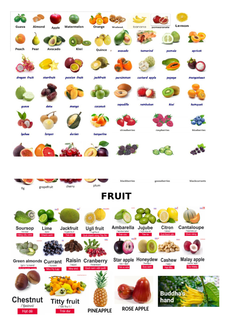 Fruit | PDF