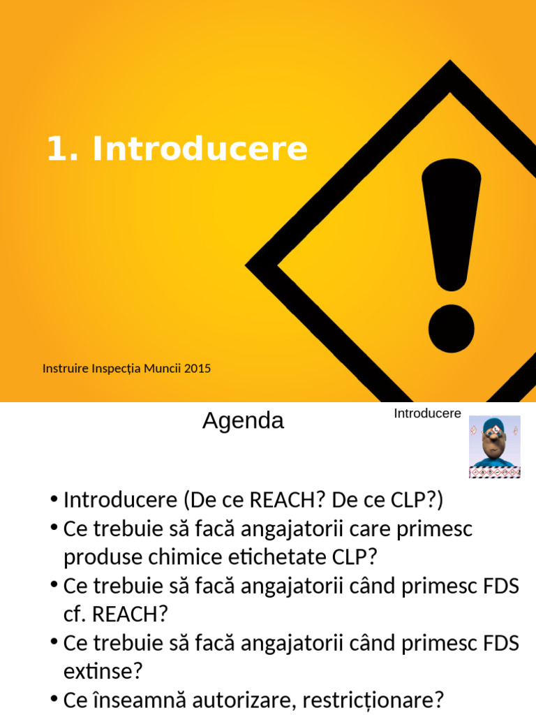 1 Introducere PT Angajatori | PDF
