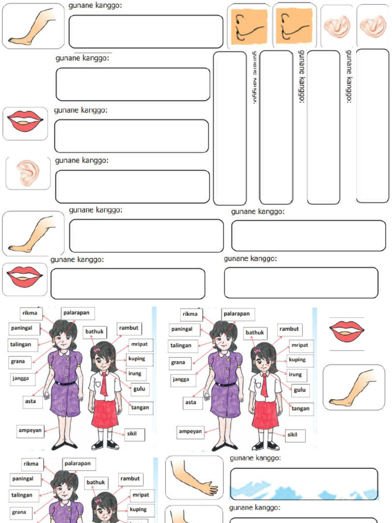 Guna Perangane Awak | PDF