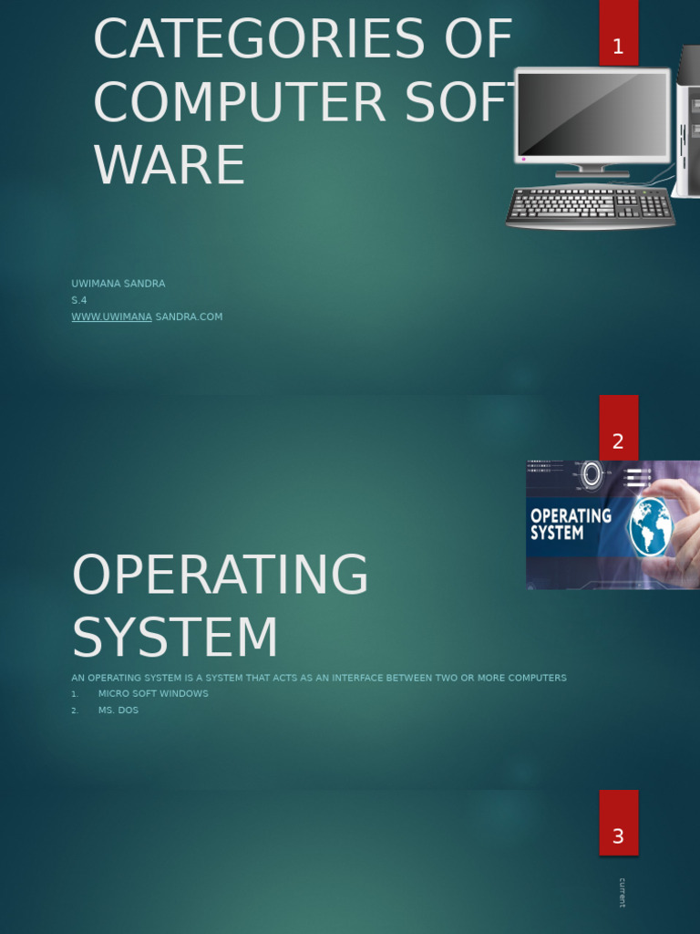 Computer Software | PDF