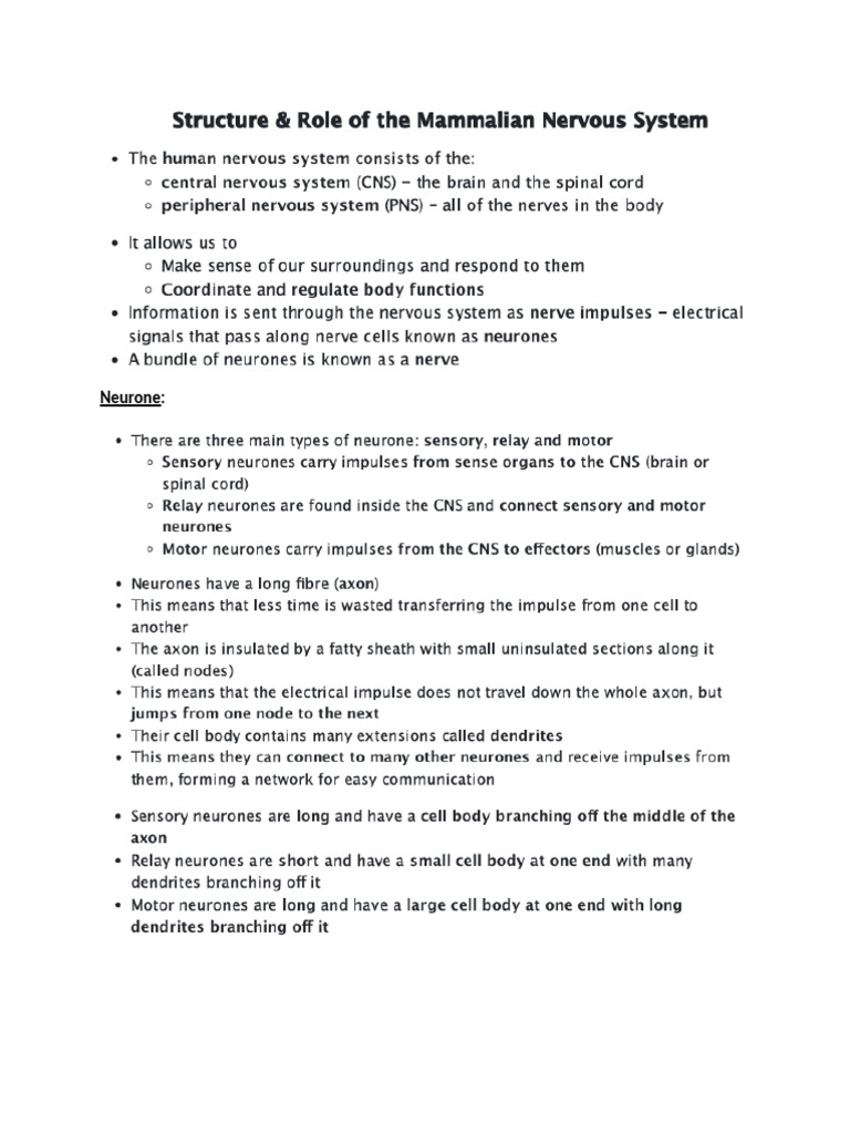CH 12 Coordination and Response (Short Notes) | PDF