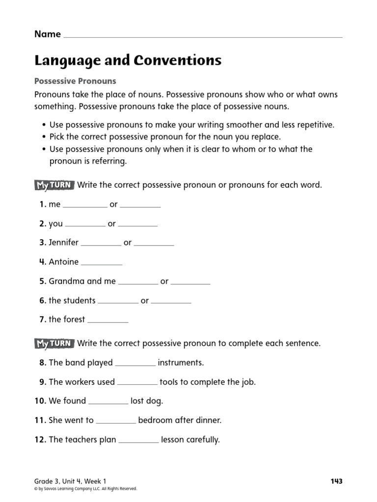 Language and Conventions: Possessive Pronouns | PDF