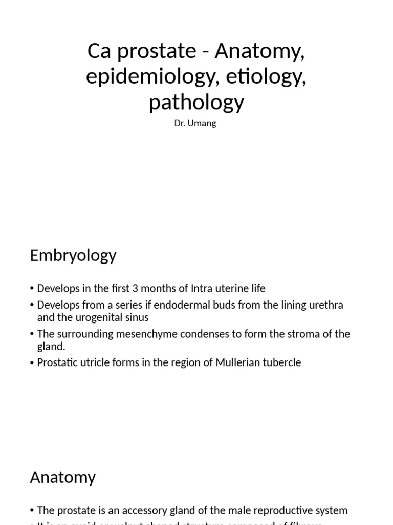 CA Prostate - Anatomy, Etiology, Pathology - 1 | PDF