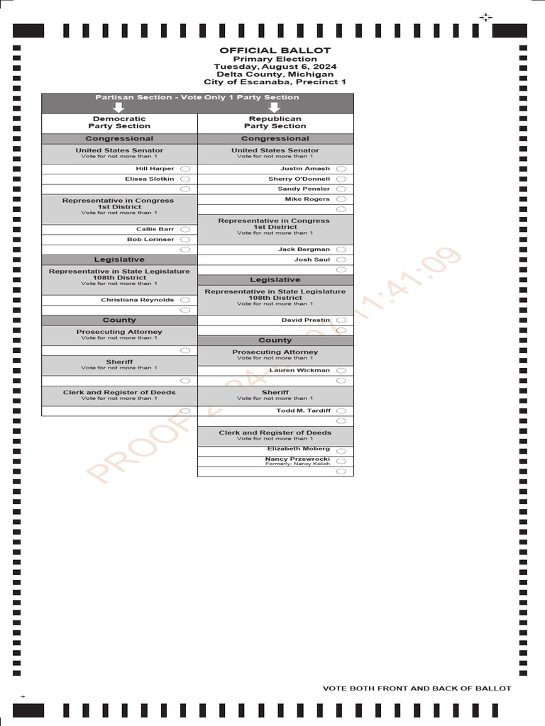 August 2024 Ballots | PDF