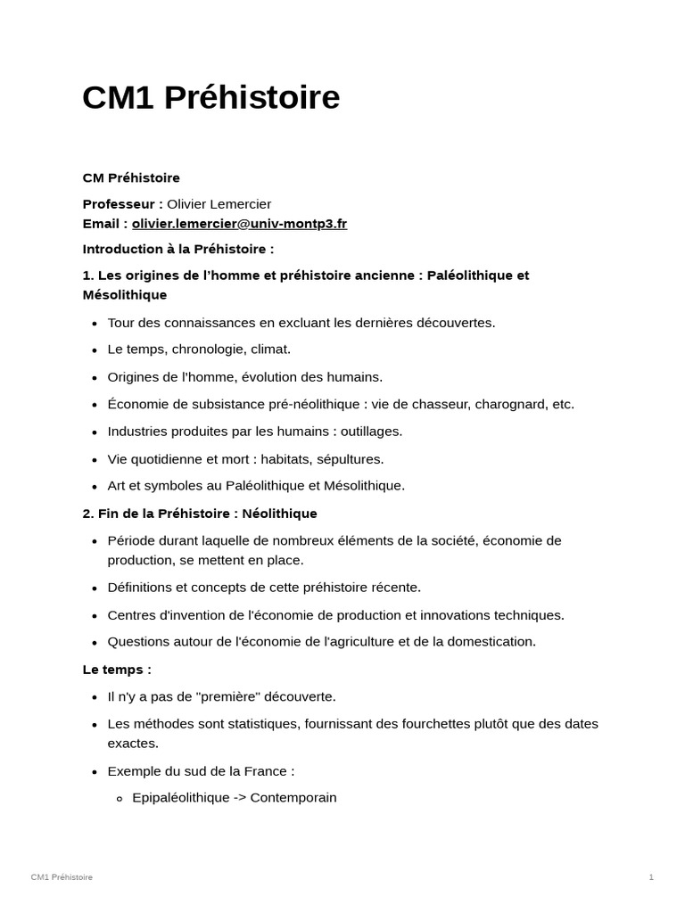 CM1 Préhistoire | PDF