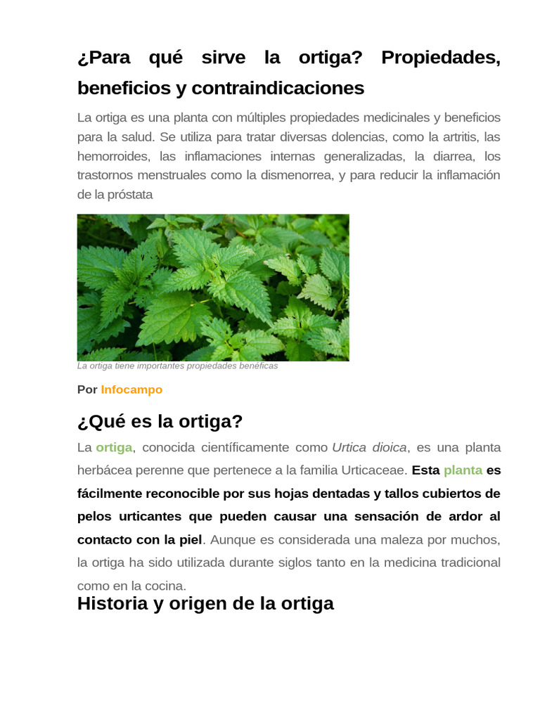 Para Qué Sirve La Ortiga | PDF