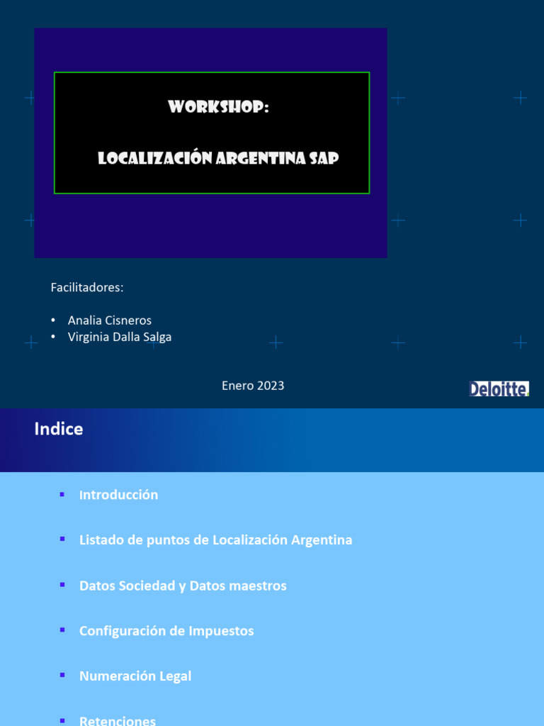 Localización Argentina Sap Deloitte Pdf