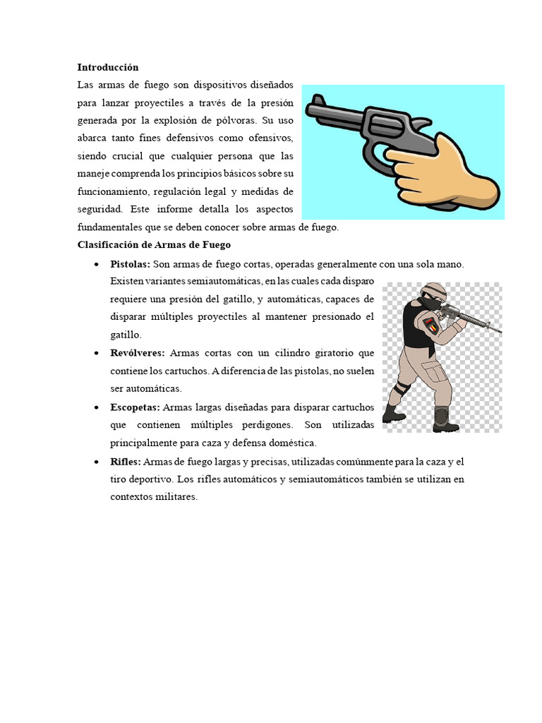 Armas de Fuego | PDF
