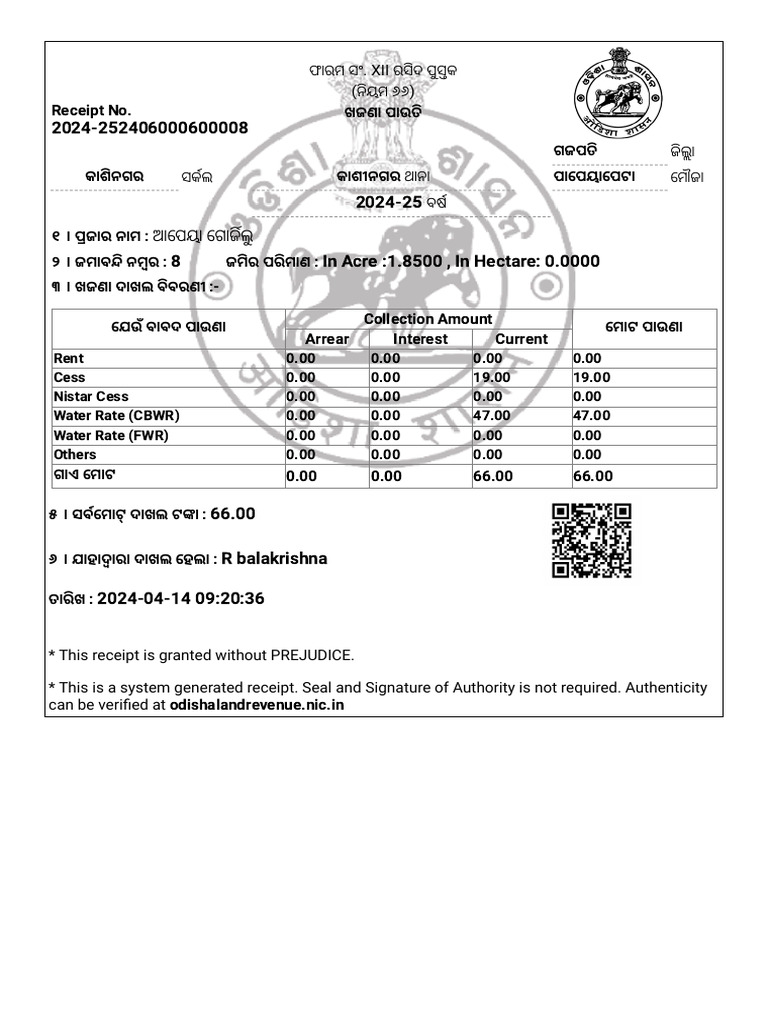 About Blank PDF