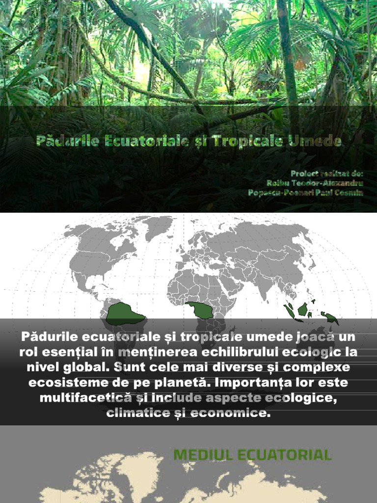 Padurile Ecuatoriale Si | PDF