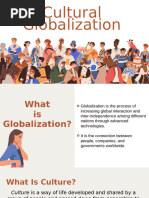 Examples of Cultural Homogenization | PDF