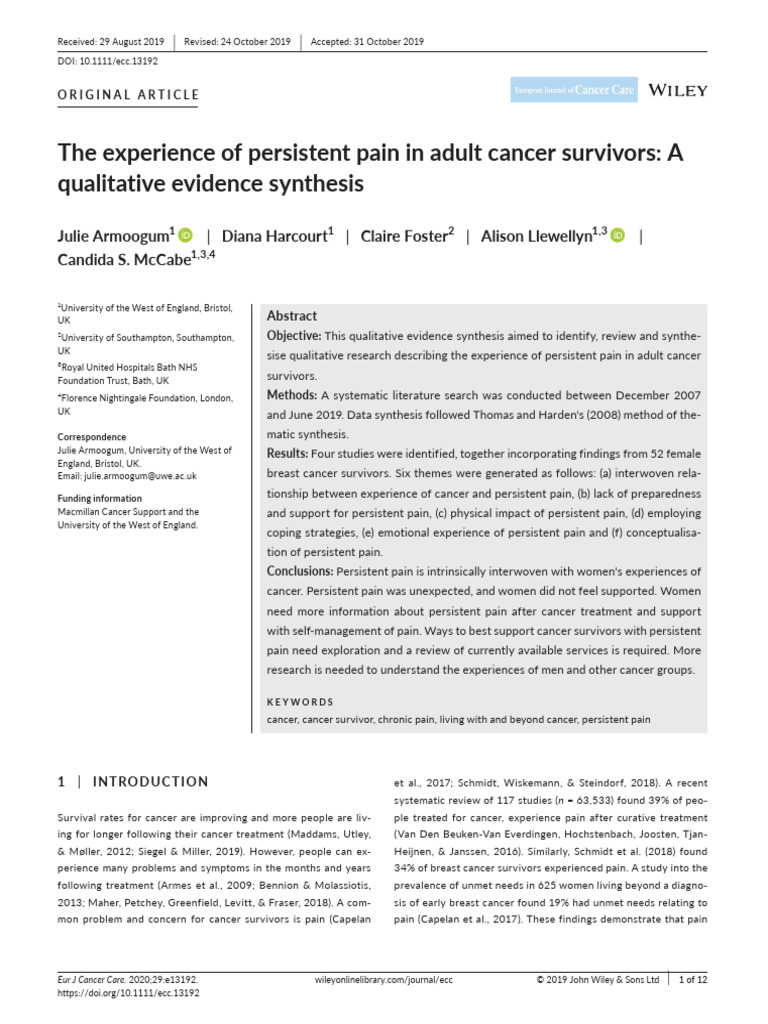 The Experience of Persistent Pain in Adult Cancer Survivors - A ...