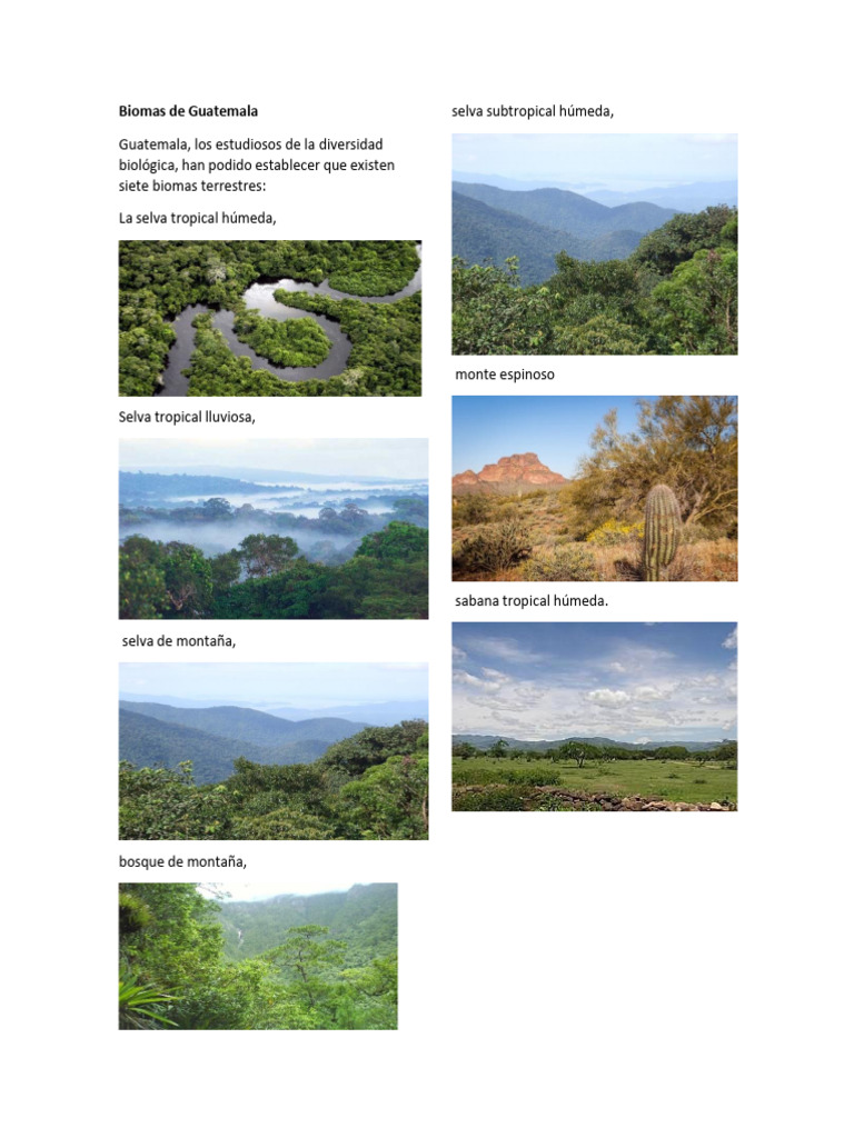 Biomas y Ecosistemas. | PDF