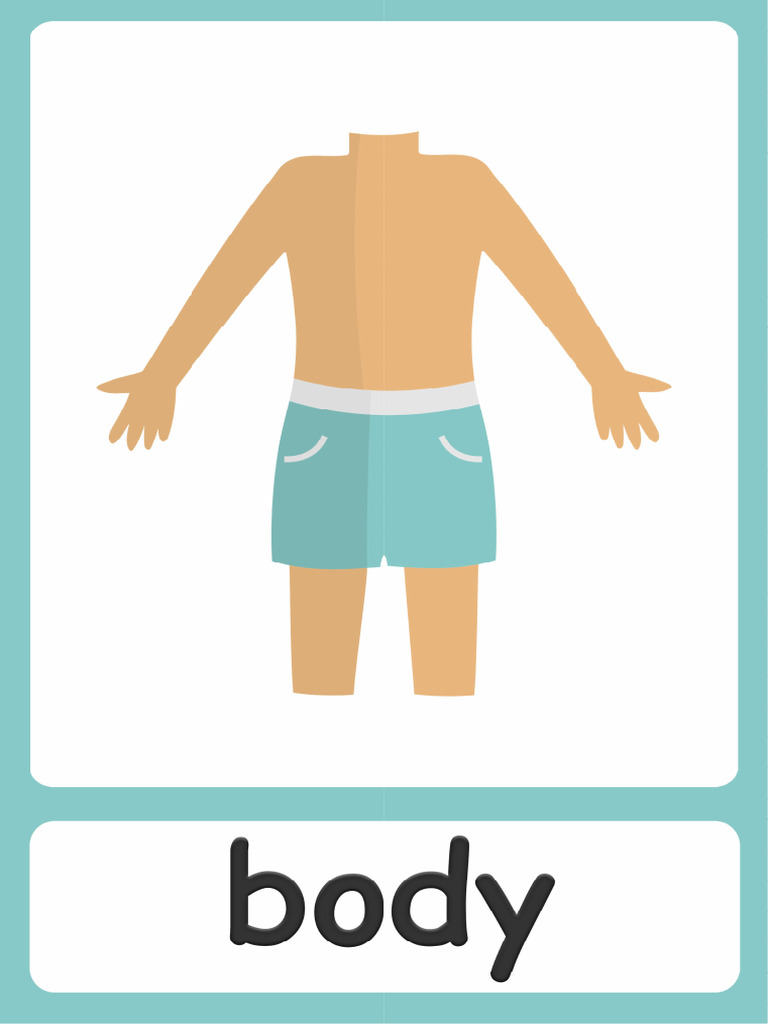 BODY PARTS Flashcards | PDF