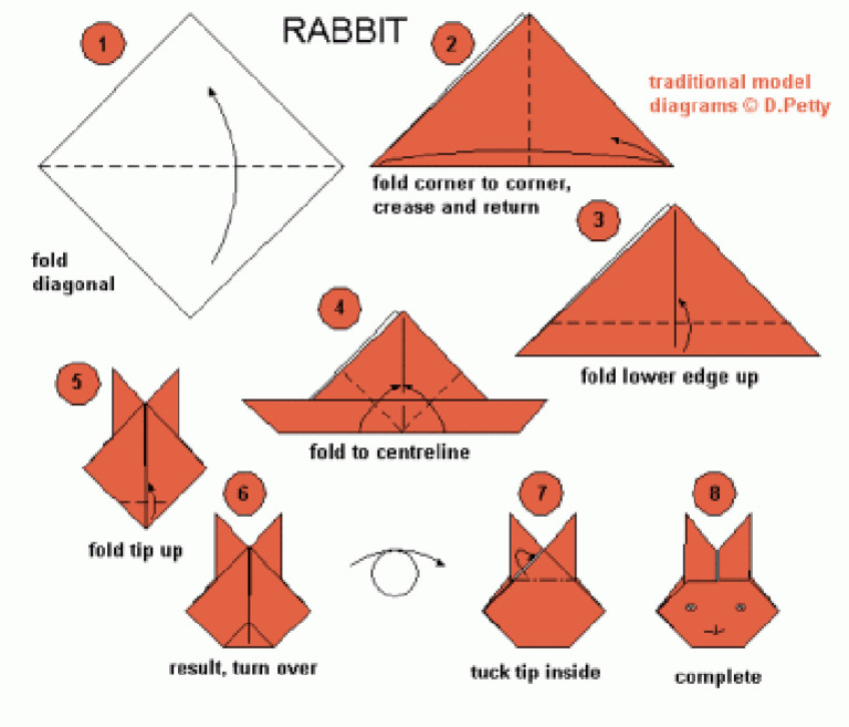 Rabbit Author D. Petty | PDF