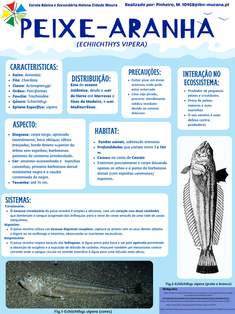 Peixe Fixe | PDF
