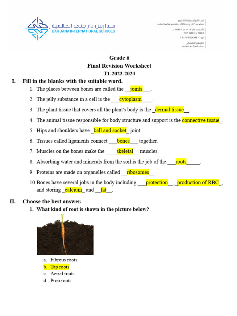 Answer Key_Grade 6 Final Revision Worksheet | PDF