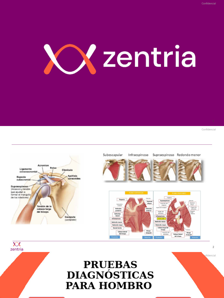 Pruebas Diagnosticas de Hombro | PDF