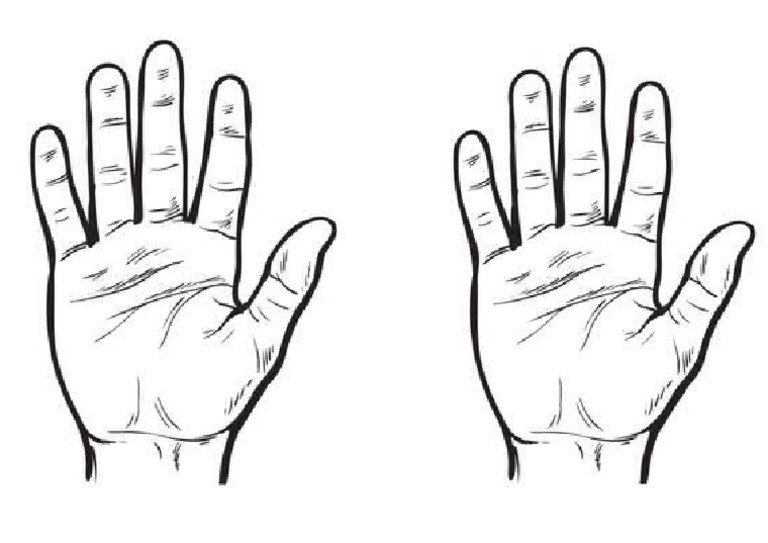 Hand Drawing | PDF