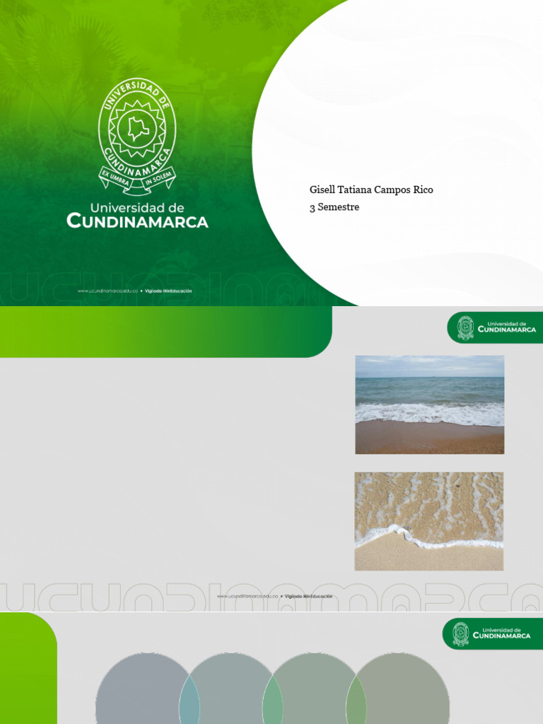 Trabajo Ecosistemas | PDF