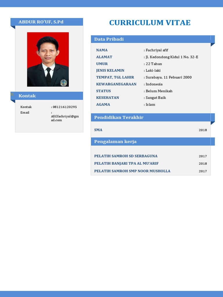 Curiculum Vitae Afif | PDF