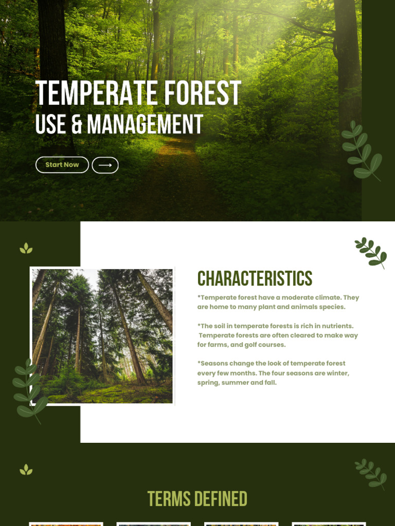 Temperate Forest | PDF
