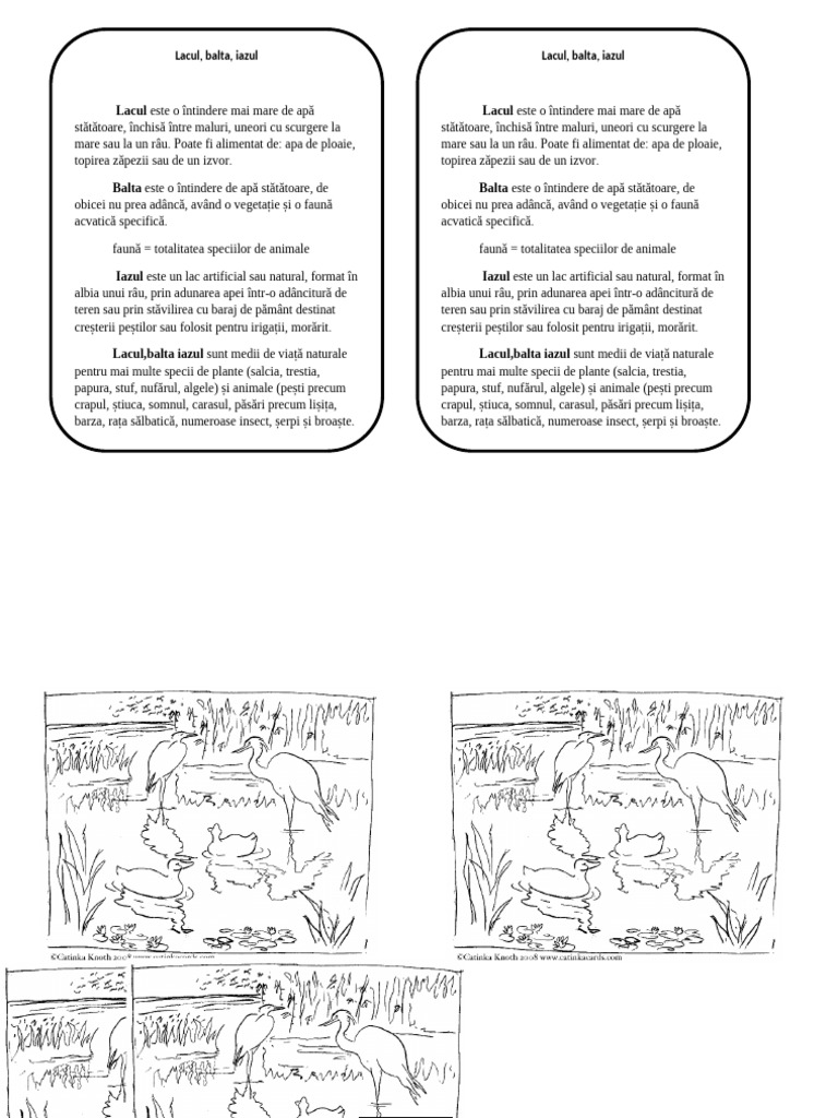 0 Balta Lacul Iazul | PDF