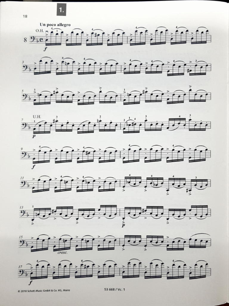 Kummer 8 | PDF