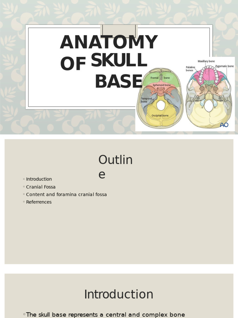 Anatomy of Skull Base-1 | PDF | Skull | Human Head And Neck