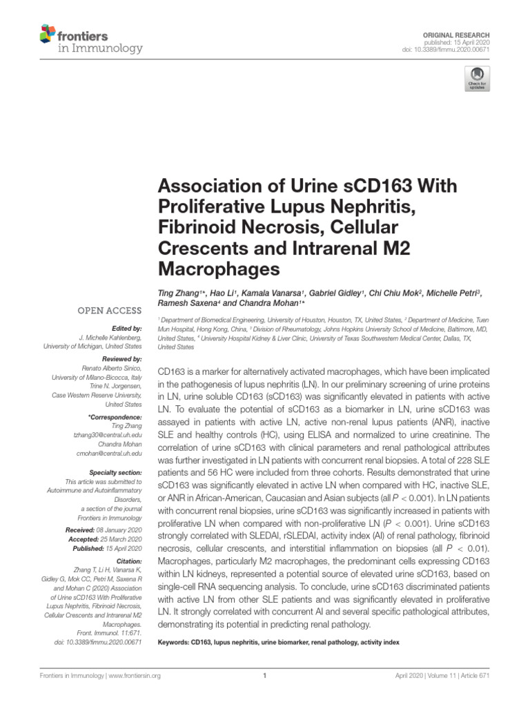 Macrofagos m2 | PDF