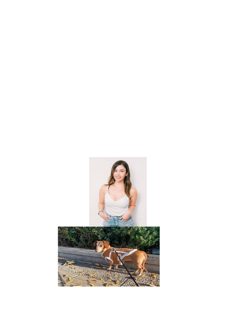 Documento (12) | PDF